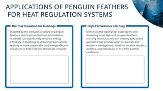 Biomimcry of Penguin Skin in Heat Regulation.pptx
