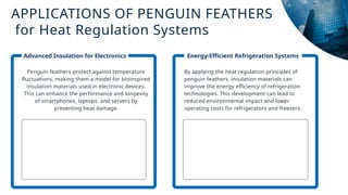 Biomimcry of Penguin Skin in Heat Regulation.pptx