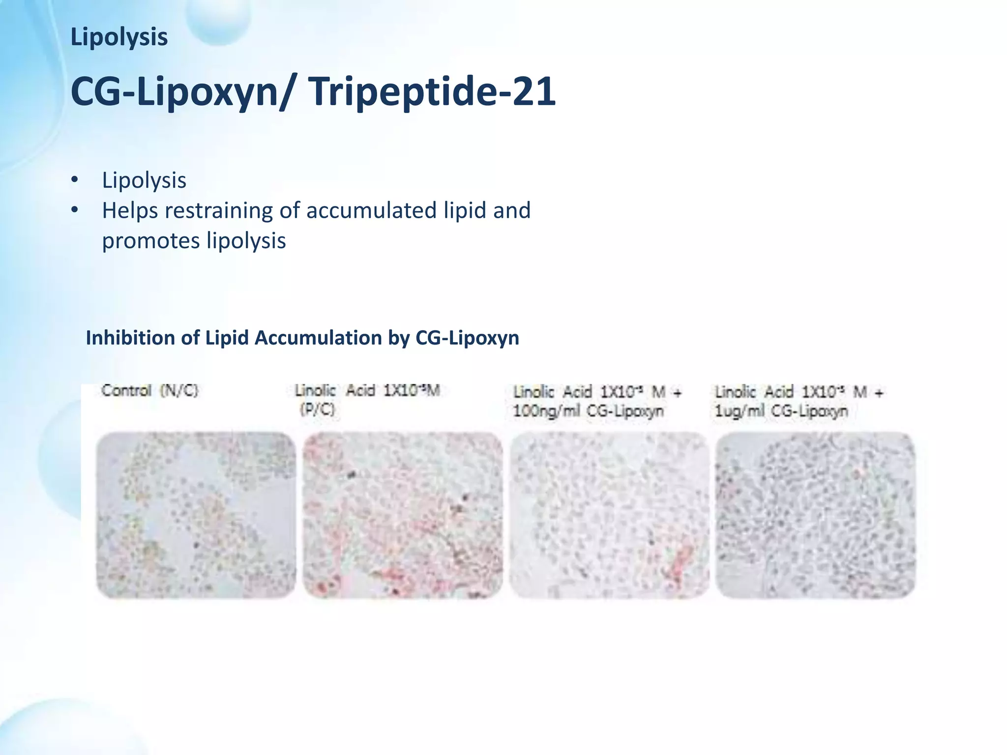 'Biomimetic Molecules and their application to Aesthetic Medicine ...