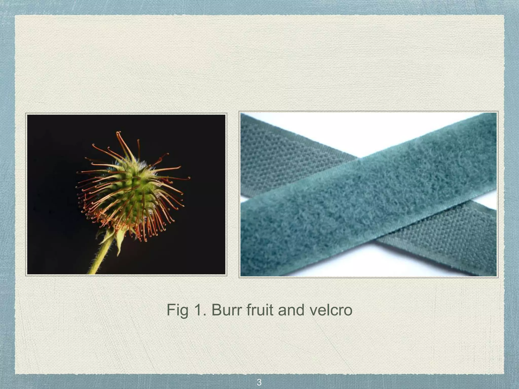 Biomimetic medical devices | PPTX