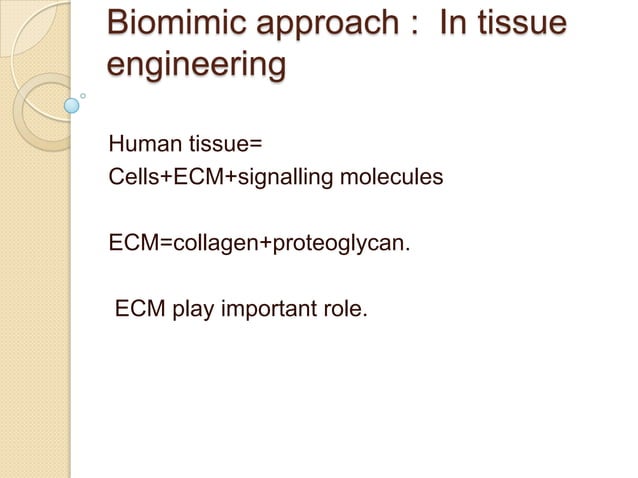Biomimetics | PPTX | Chemistry | Science