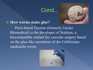 Biomimetics | PPTX