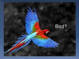 Biomimetics | PPTX
