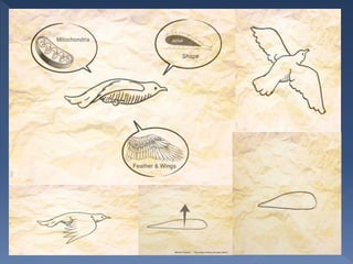 Biomimetics | PPTX