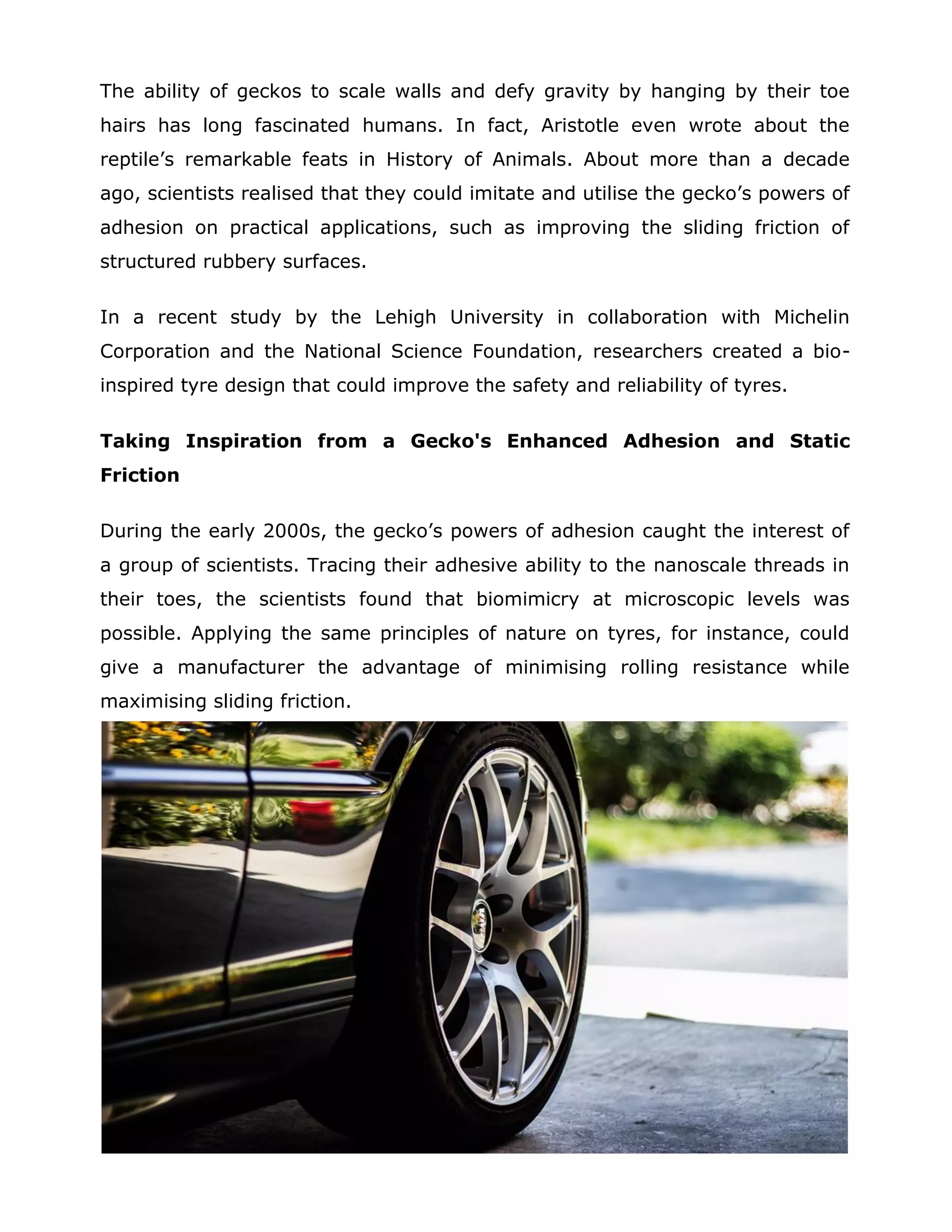 Biomimetics on the Road: Scientists Create Tyre Design with Unique ...