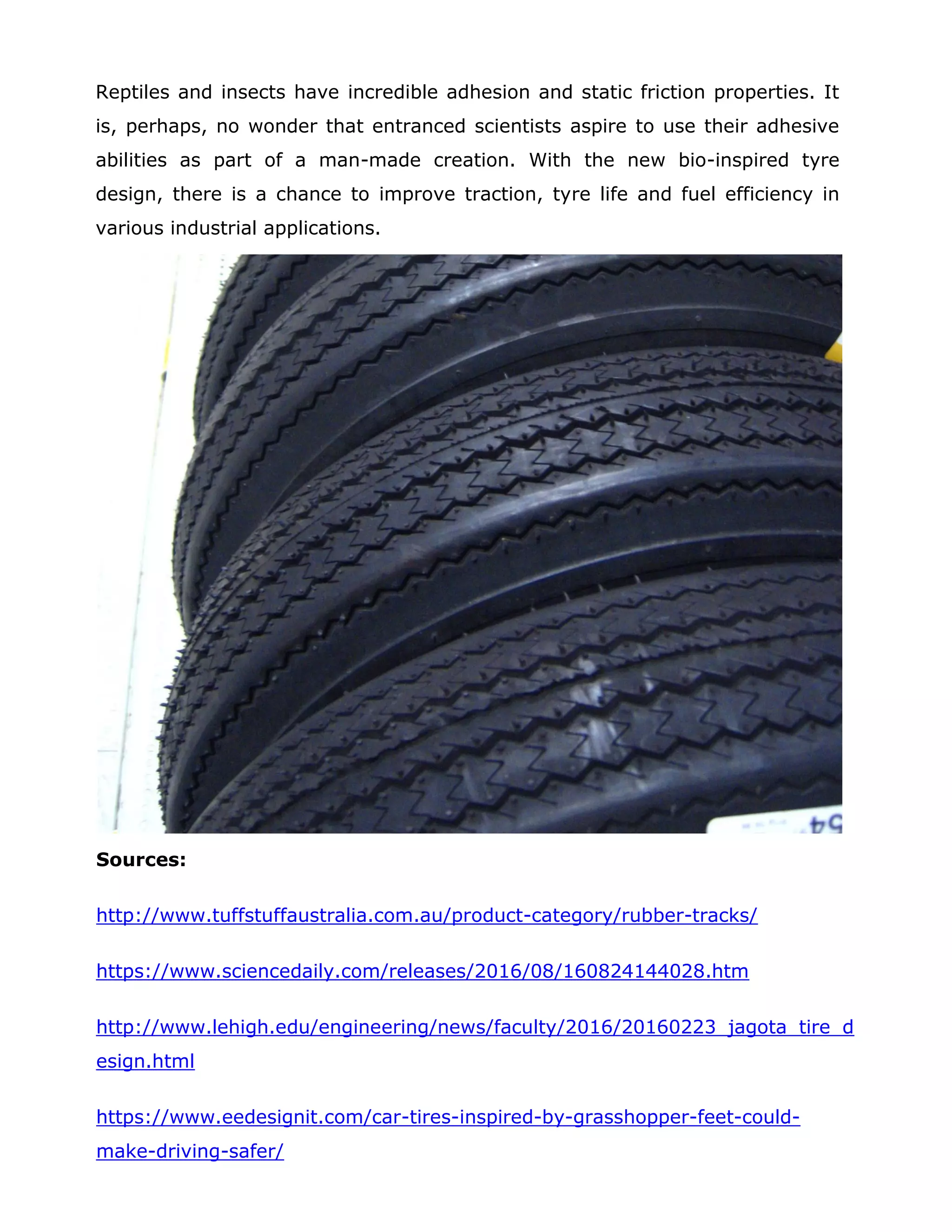 Biomimetics on the Road: Scientists Create Tyre Design with Unique ...