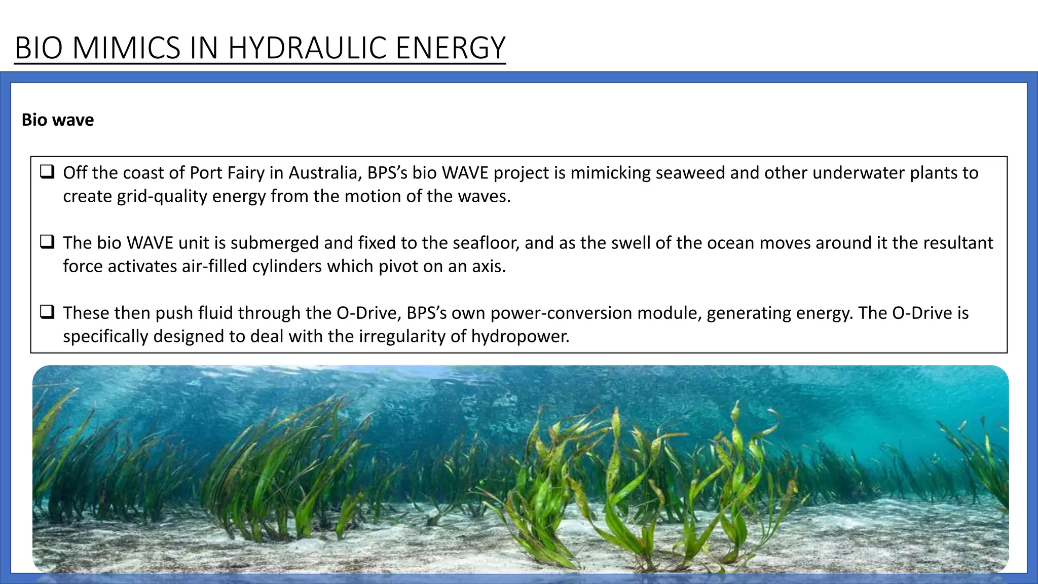 Bio mimic in renewable energy | PPT