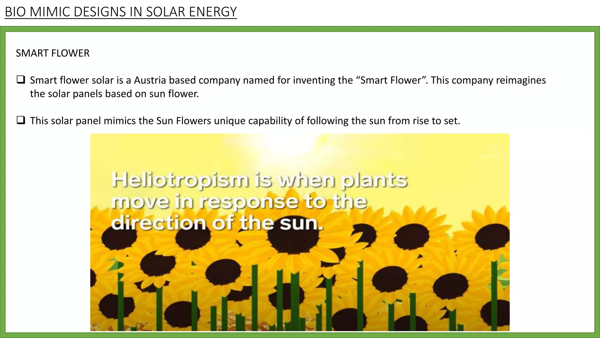 Bio mimic in renewable energy | PPT