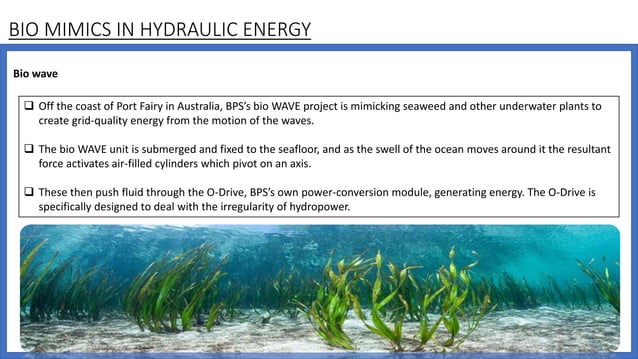 Bio mimic in renewable energy | PPT