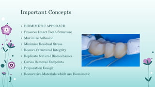 Biomimic Dentistry in modern dentistry and dental materials | PDF
