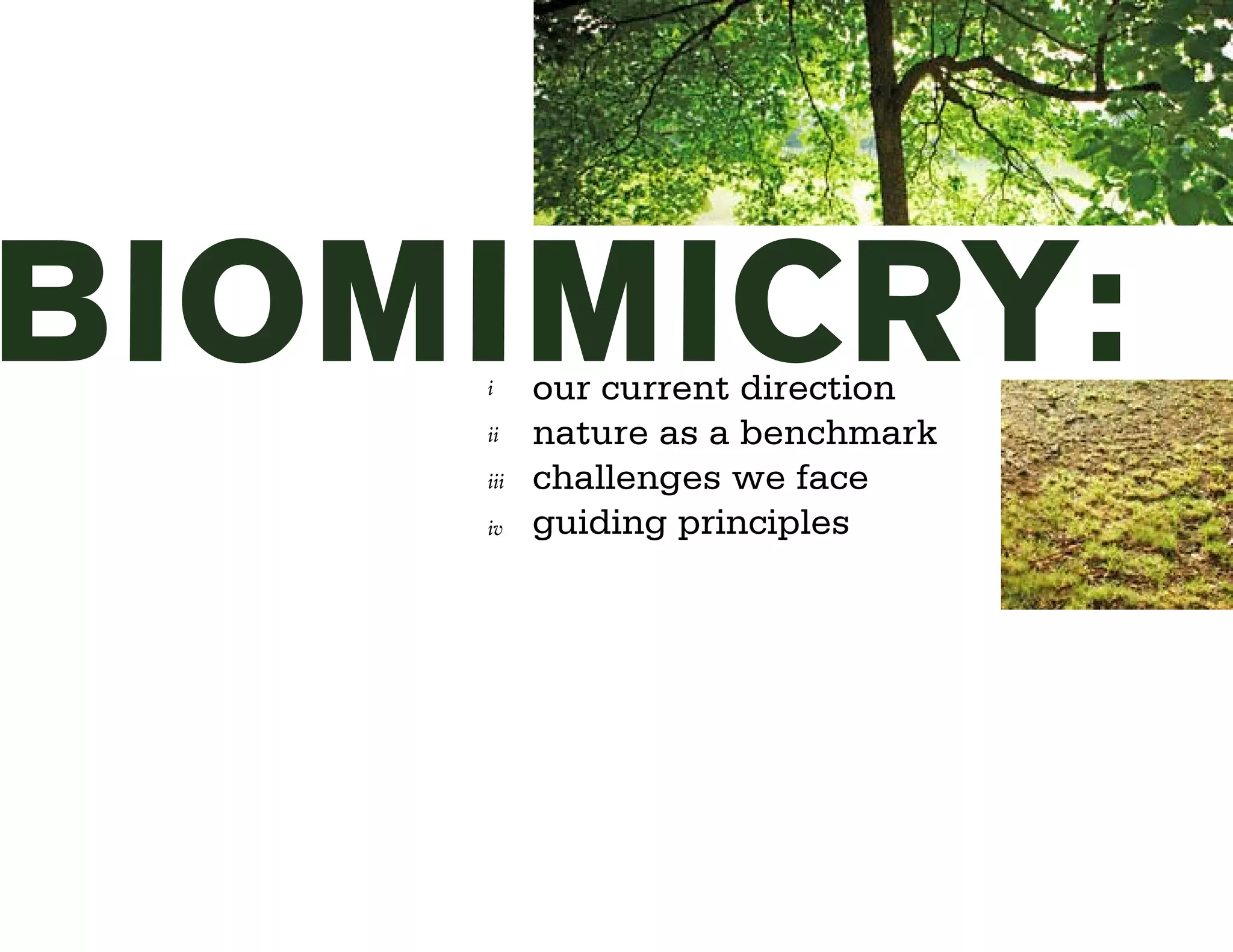 Biomimicry | PDF