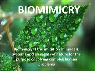 Biomimicry | PPTX