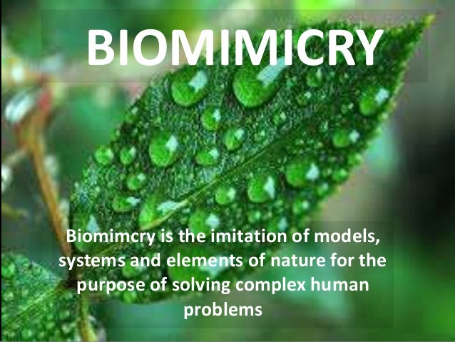 Biomimicry