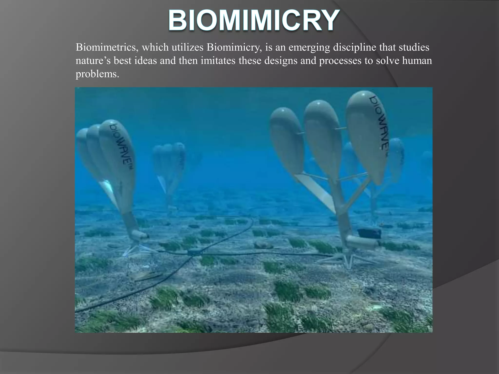 Biomimicry | PPT