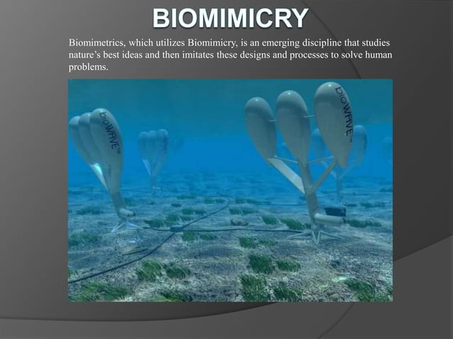 Biomimicry | PPTX