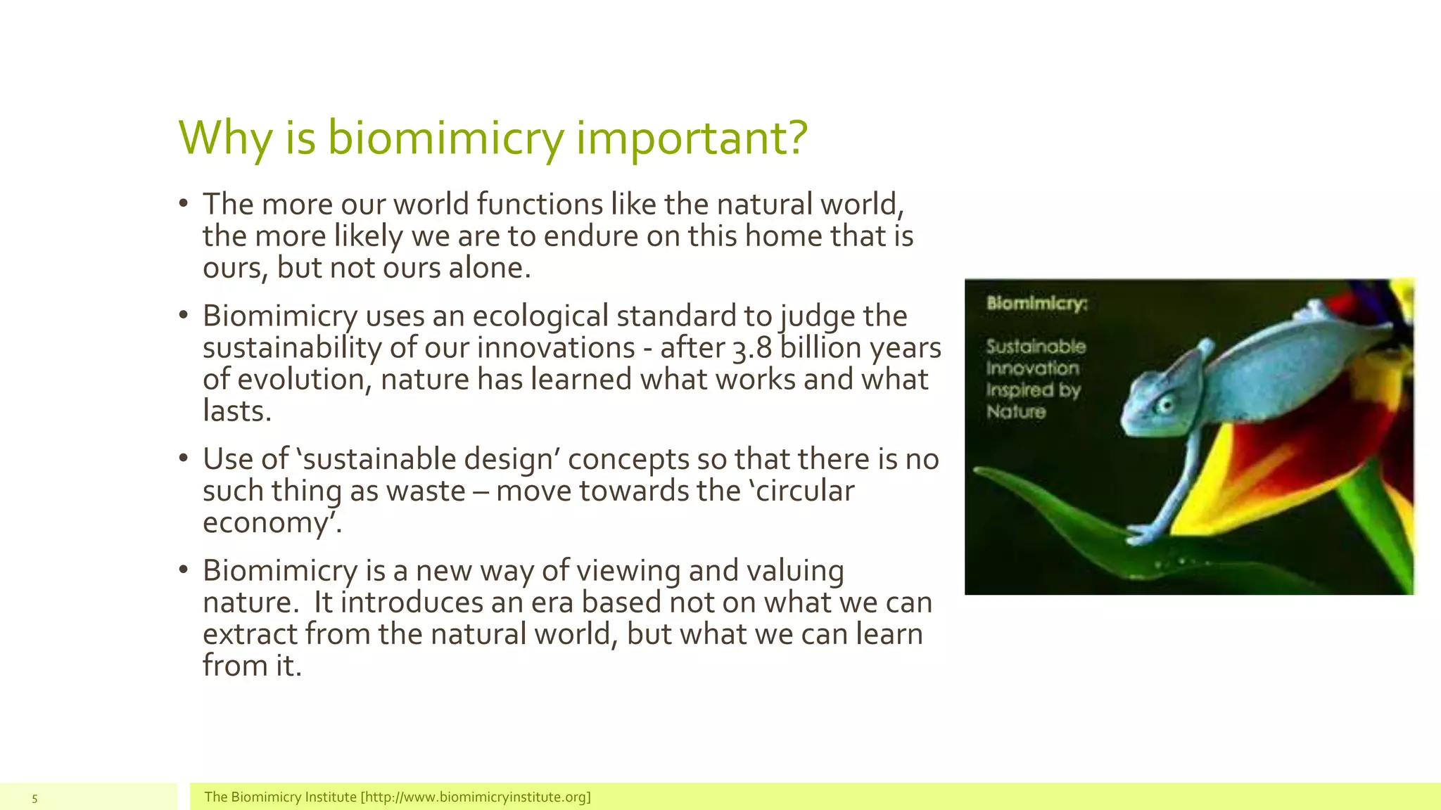 What is Biomimicry? | PPTX