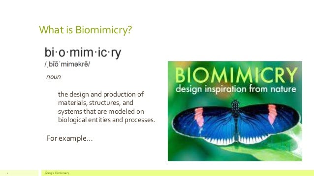 What is Biomimicry?