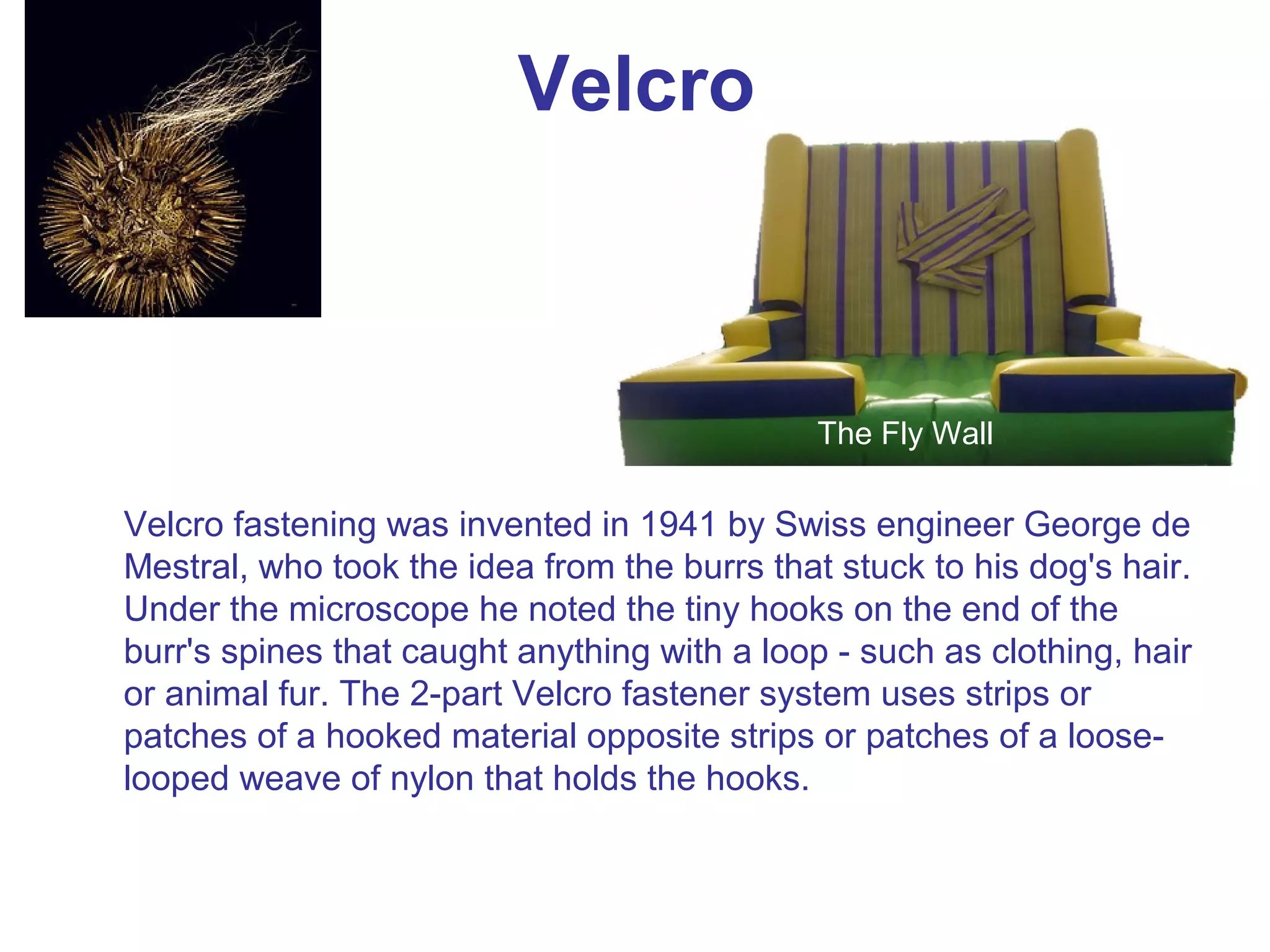 Biomimicry | PPT
