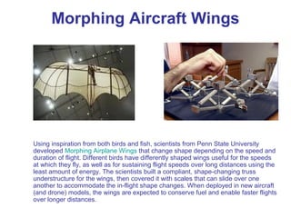 Biomimicry | PPT