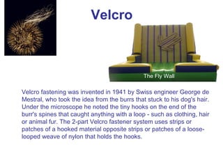 Biomimicry | PPT | Chemistry | Science