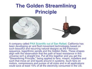 Biomimicry | PPT | Chemistry | Science