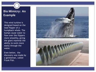 Biomimicry | PPT
