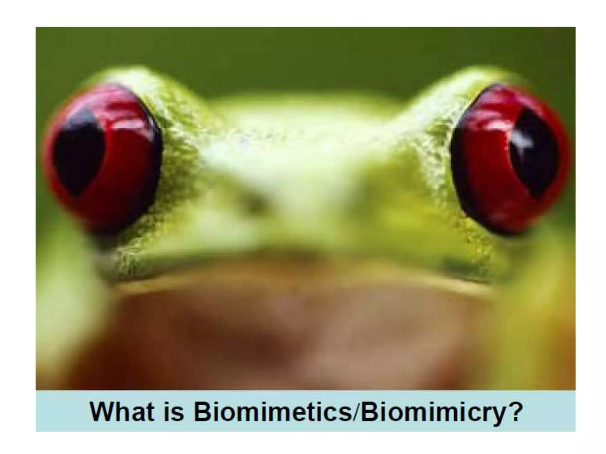 Bio-mimicry | PPTX