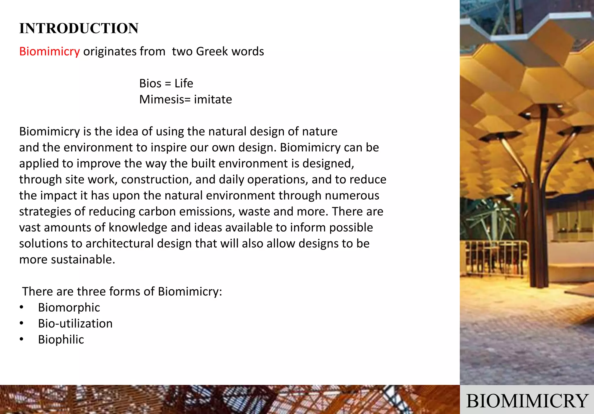 Biomimicry : source of architecture innovation | PPTX