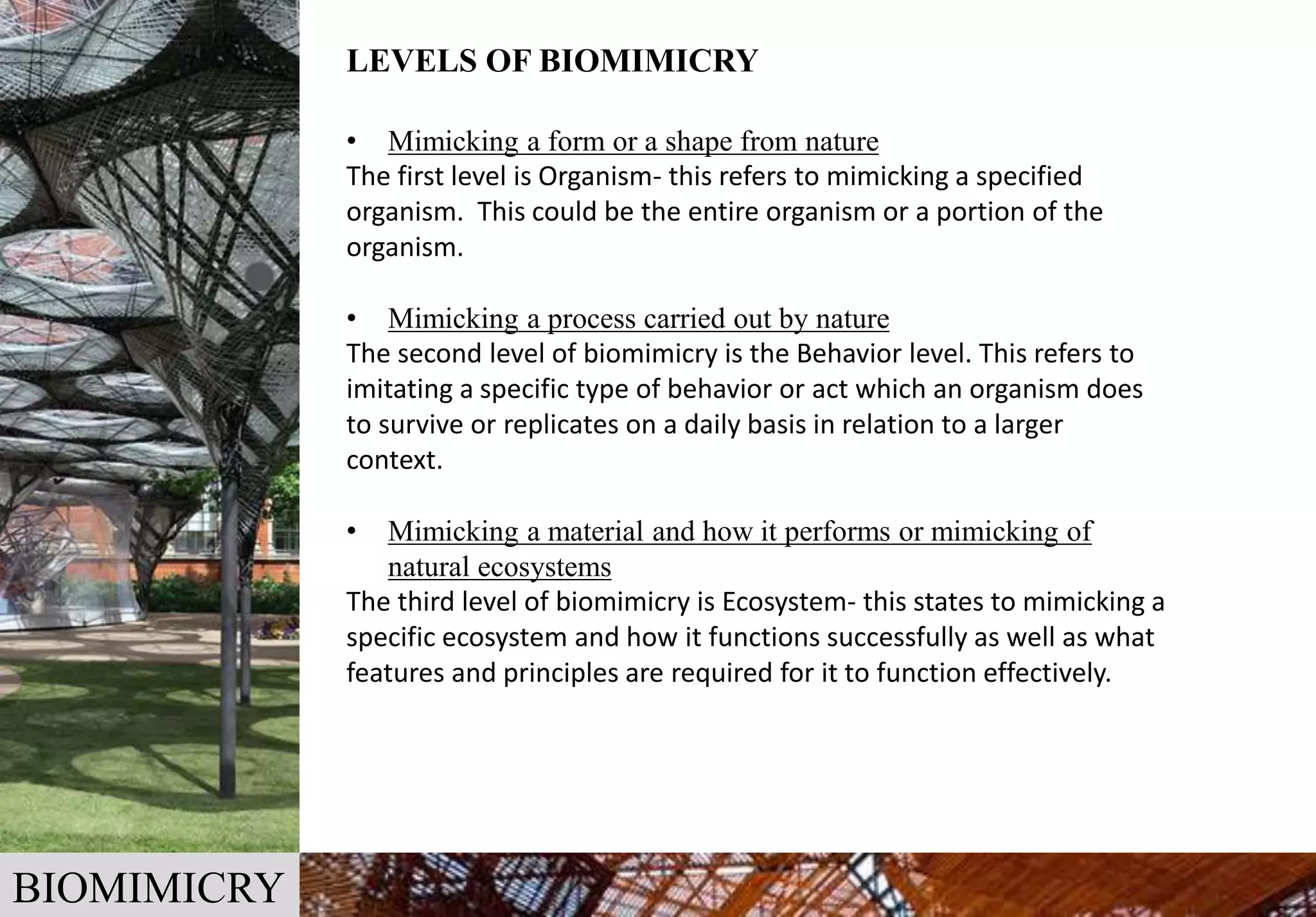 Biomimicry : source of architecture innovation | PPTX
