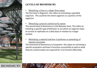 Biomimicry : source of architecture innovation | PPTX