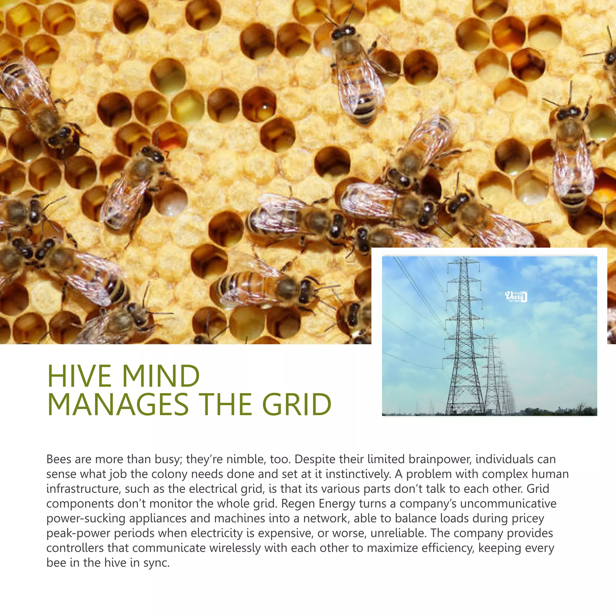 Biomimicry - Nature as Model, Measure, Mentor emphasizes sustainability | PDF