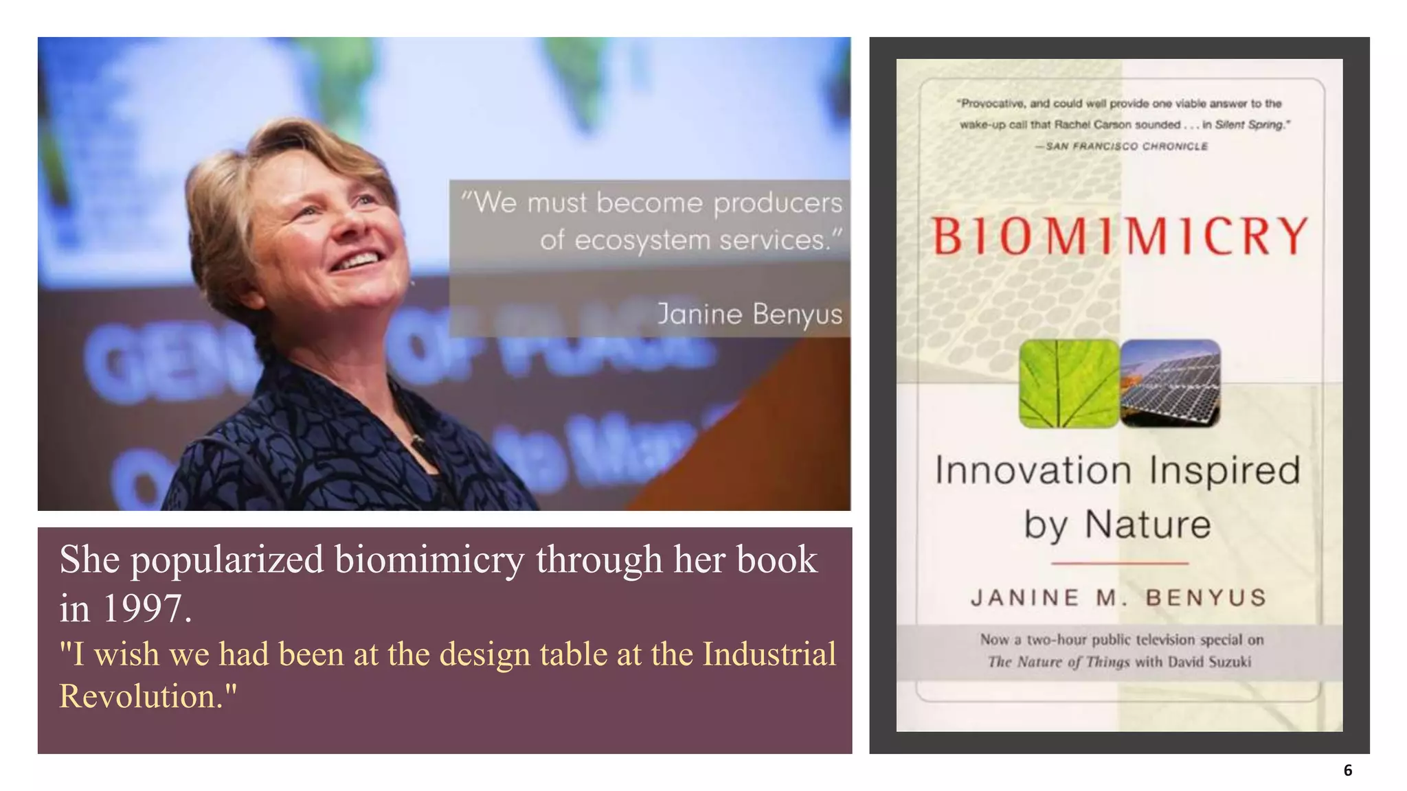 Biomimicry as a tool for sustainable products and processes | PPTX