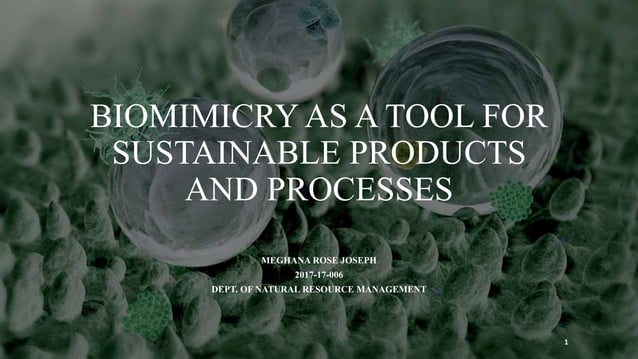 Biomimicry as a tool for sustainable products and processes | PPT