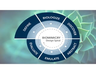 Biomimicry | PDF