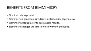 Biomimicry is the practice of learning from and then emulating life’s ...