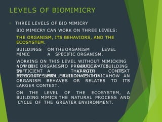 BiomimicryNature Inspiration and the .pptx
