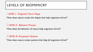 biomimicry and Its Advantages and Mechanism.pptx