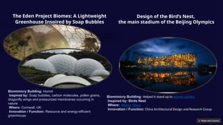 Biomimicry: Innovative Systems Inspired by Nature: Unlocking ...