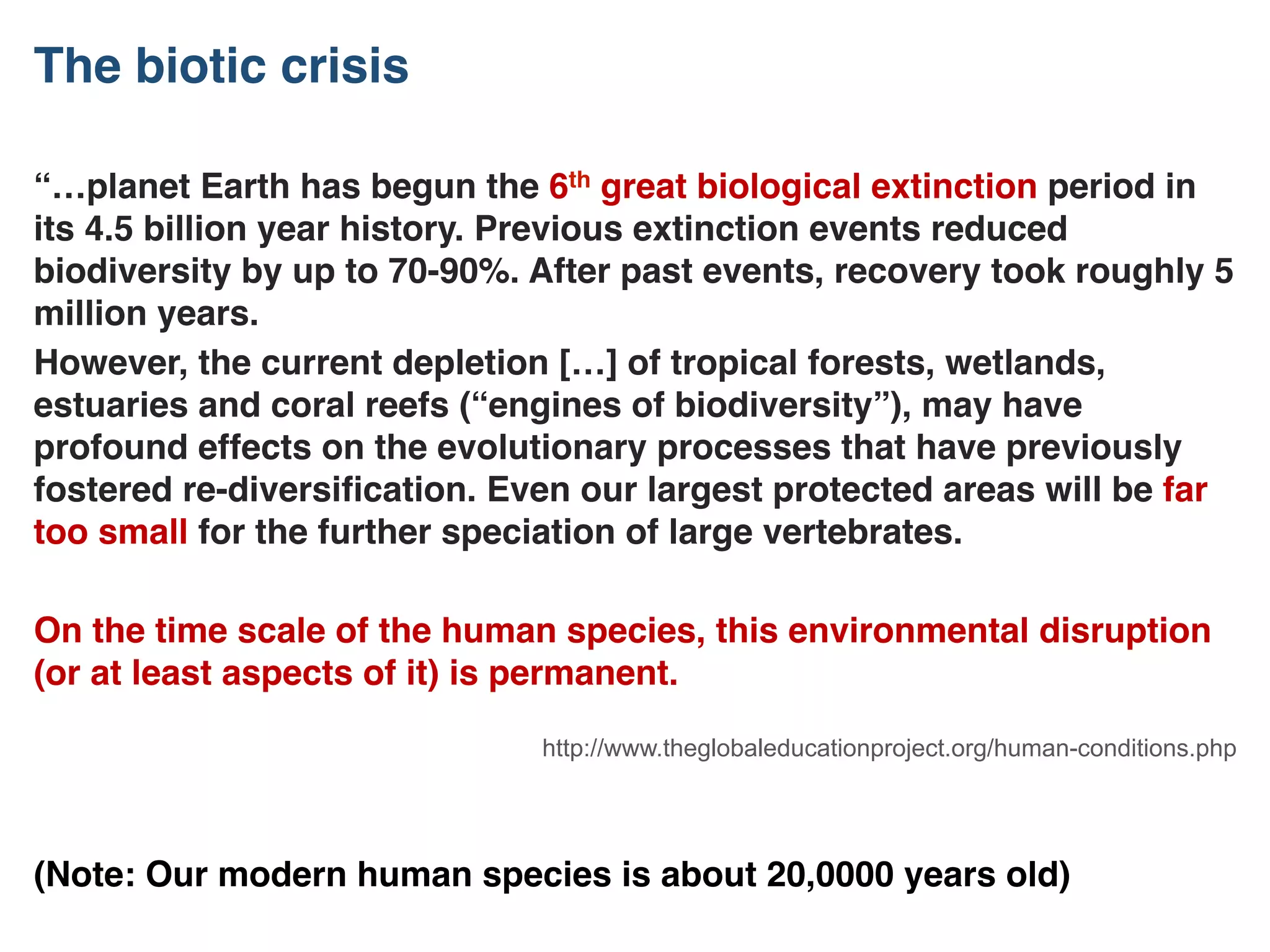 Biomimicry - The Future of Sustainable Innovation | PDF