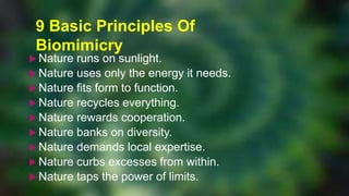 Biomimicry 10741600072 Neha | PPT