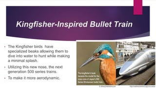 Biomimicry 10741600072 Neha | PPT