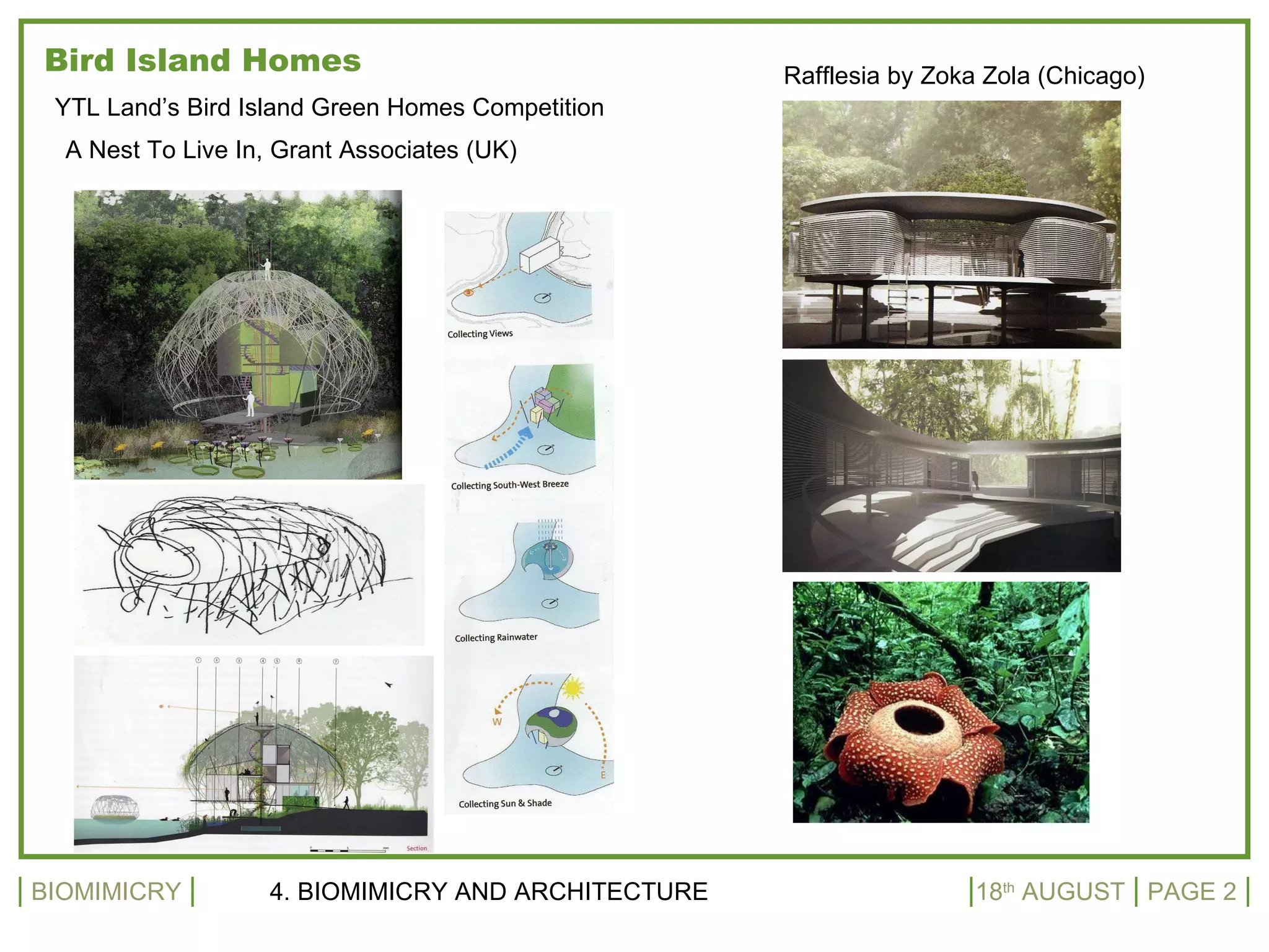 Biomimicry | PPT