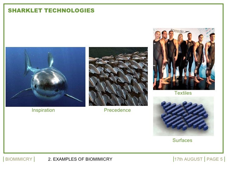 Biomimicry