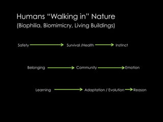 Biomimicry and biophilia as a powerful business tool nature's ...