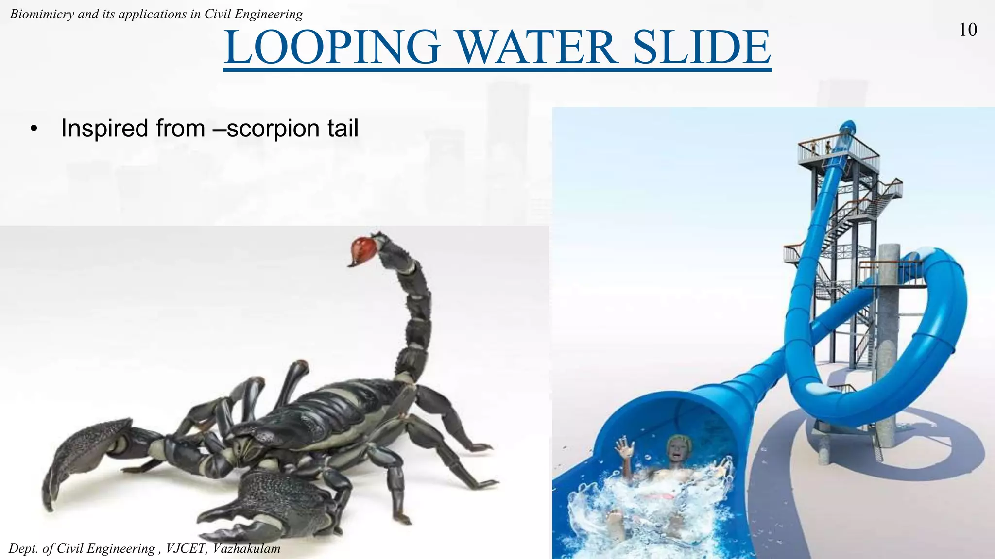 Biomimicry and its applications in civil engineering | PPTX