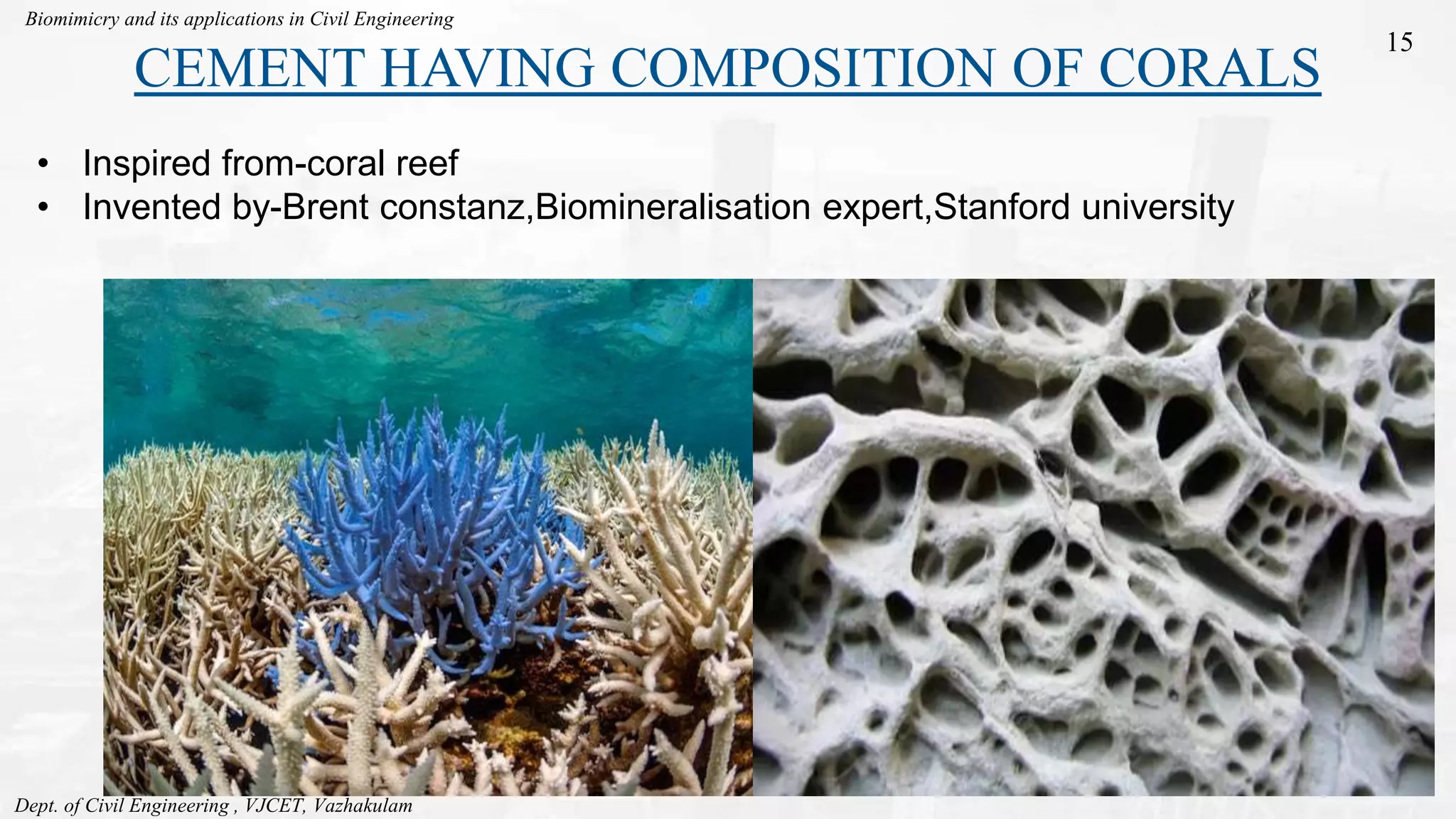 Biomimicry and its applications in civil engineering | PPTX