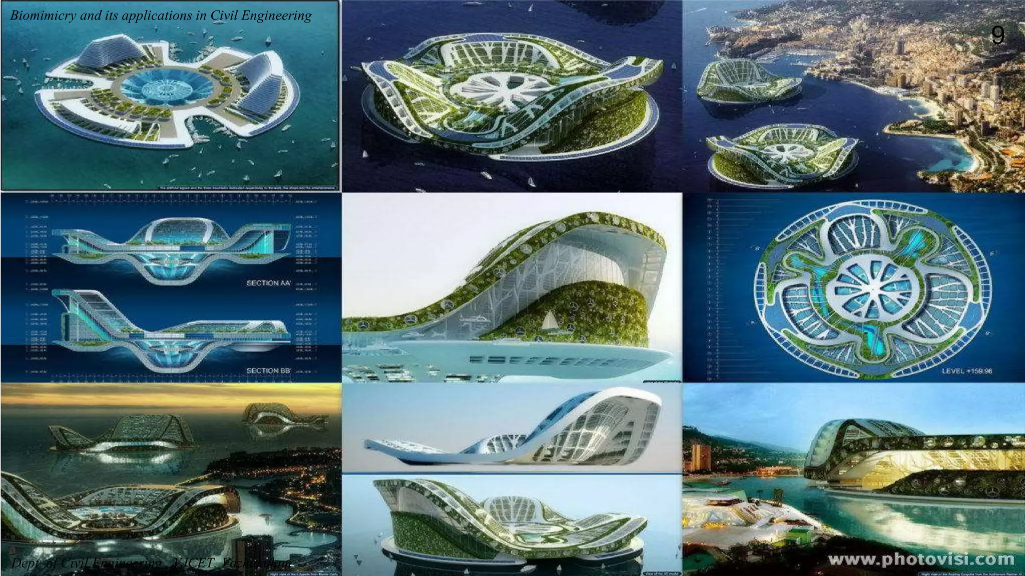 Biomimicry and its applications in civil engineering | PPTX