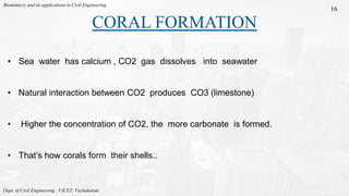 Biomimicry and its applications in civil engineering | PPTX