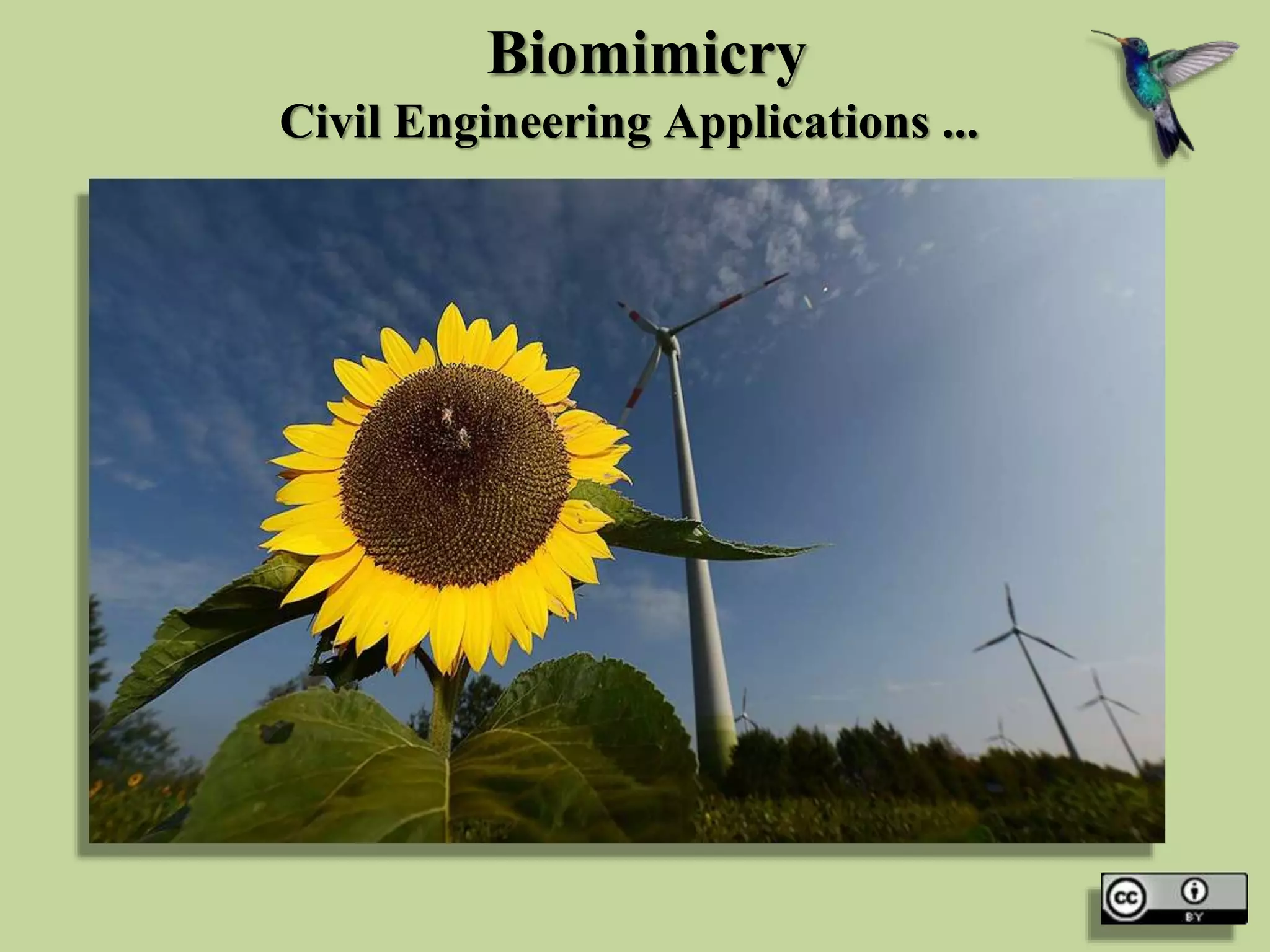 Biomimicry –Applications in Civil Engineering | PPTX
