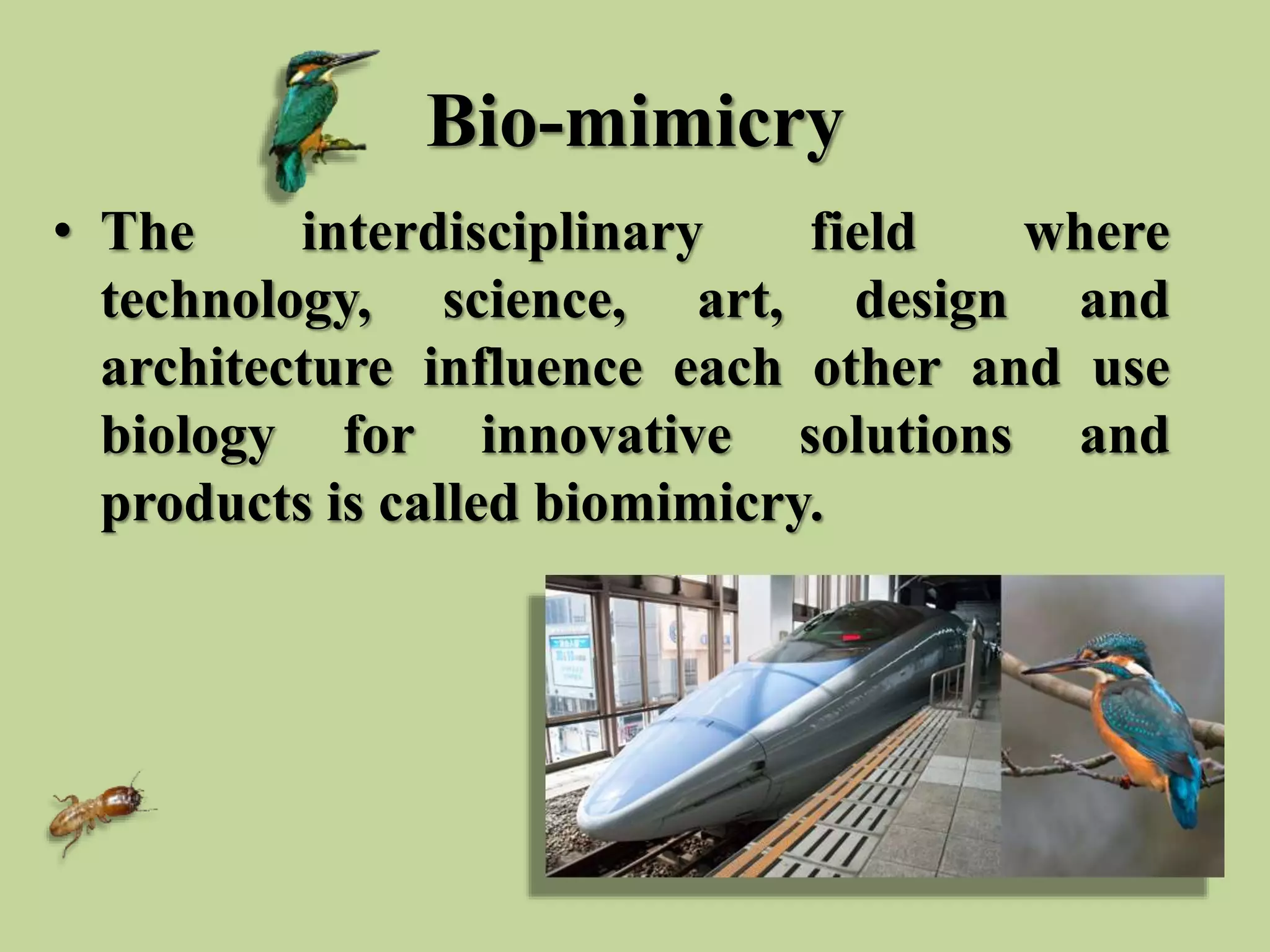 Biomimicry –Applications in Civil Engineering | PPTX